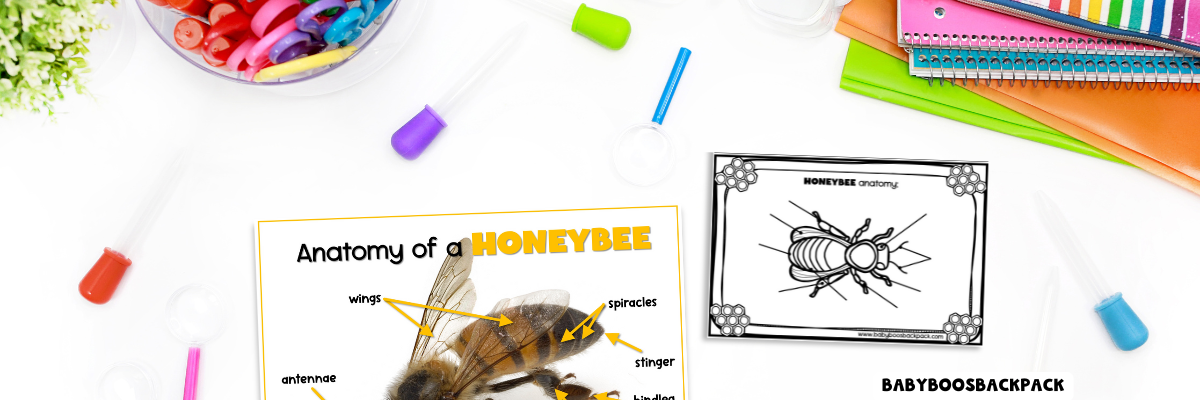 ANIMAL & INSECTS – Baby Boo's Backpack