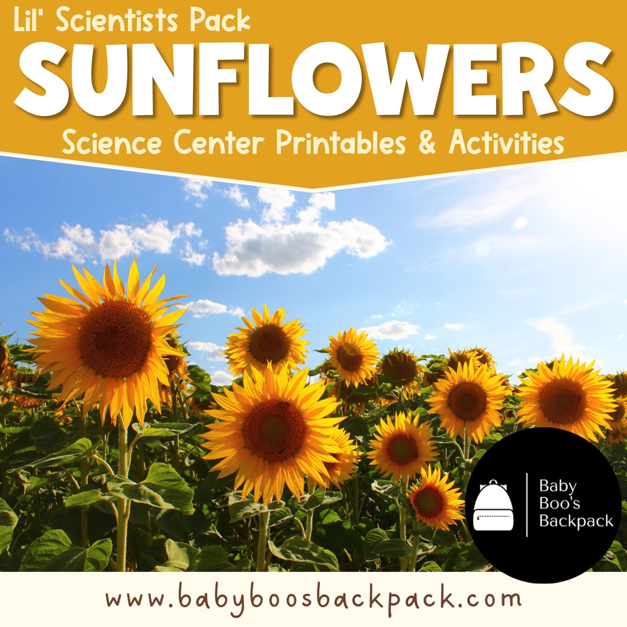 Sunflower Science | Activities, Experiments & Science Center Printable ...
