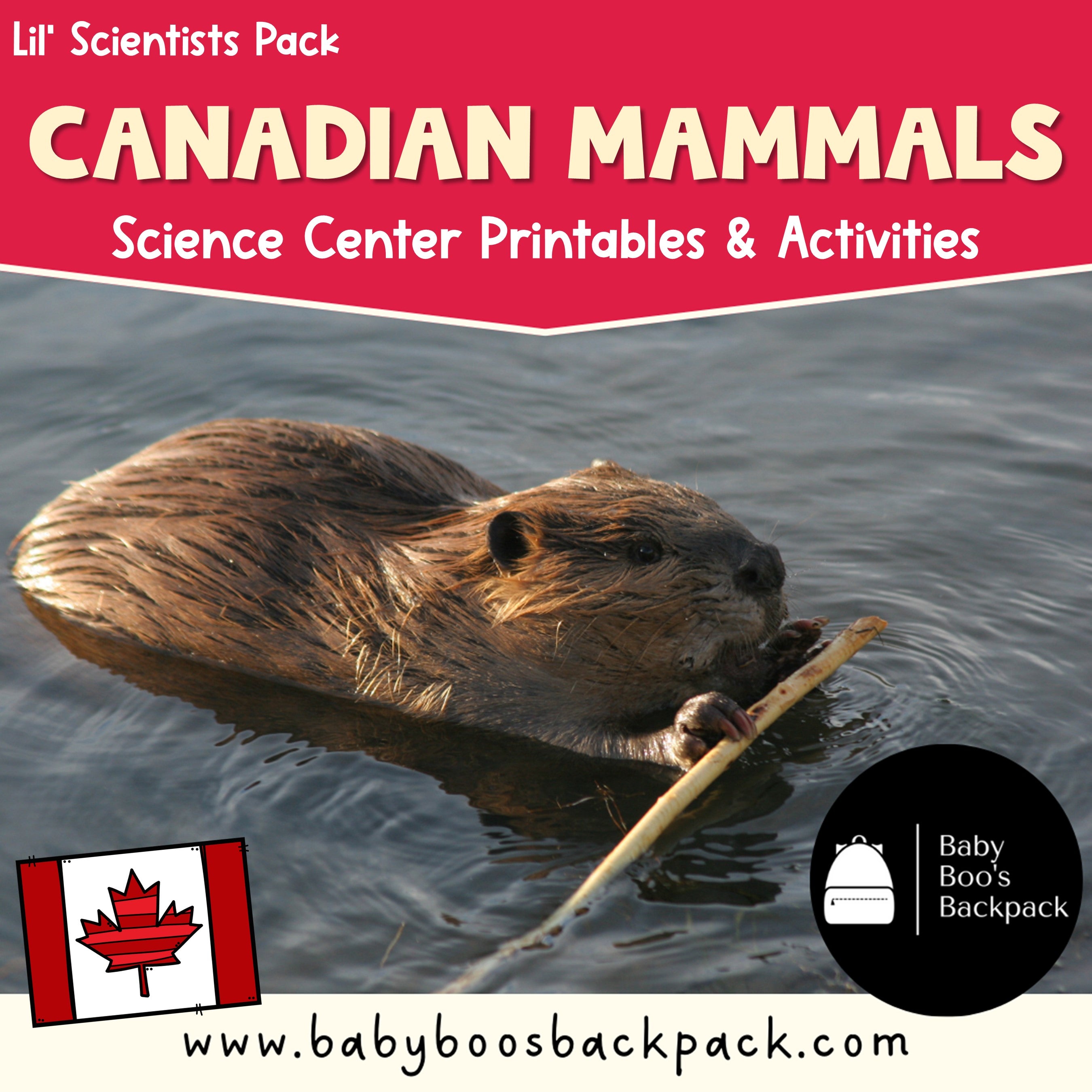 Canadian Mammals Science Pack: Activities, Experiments & Science Cente ...