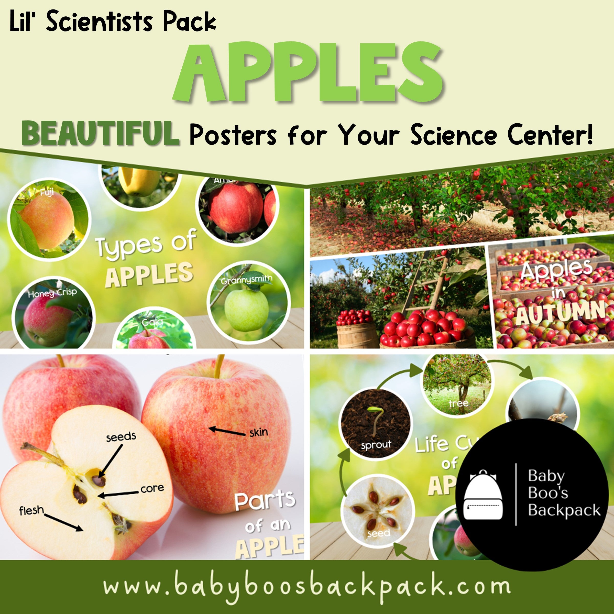 Apple Science Pack: Activities, Experiments & Science Center Printable ...