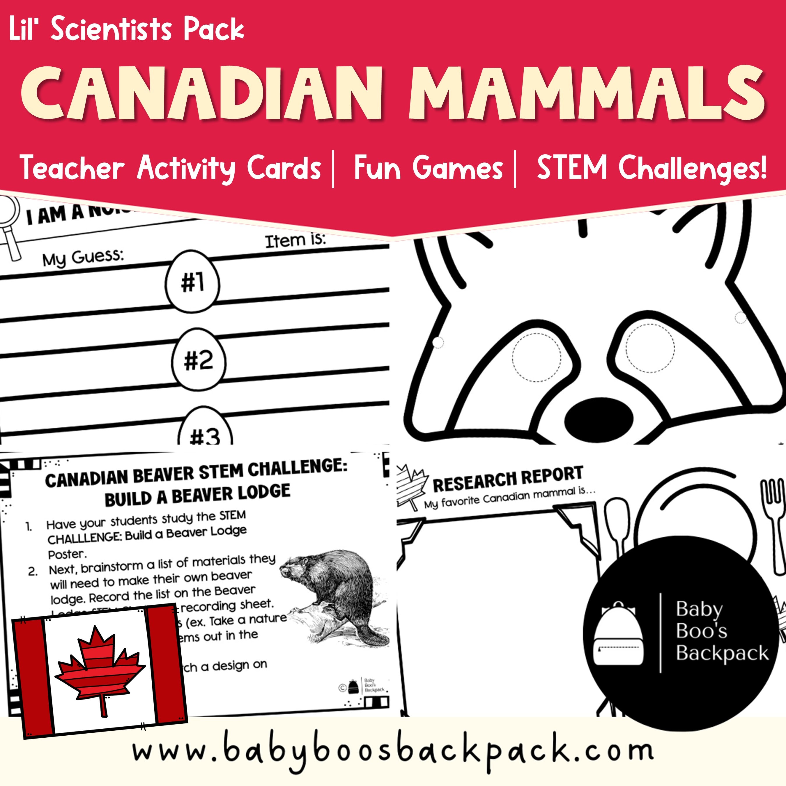 Canadian Mammals Science Pack: Activities, Experiments & Science Cente ...